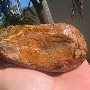 Australian Rough Waterline Jasper Chert 1120 Grams Natural Raw Specimen ...