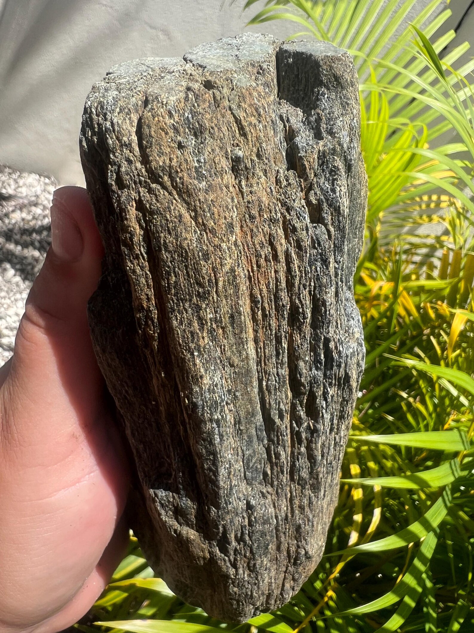 Australian Rough Sparkling Mica Schist 1960 Grams High Quality Natural ...