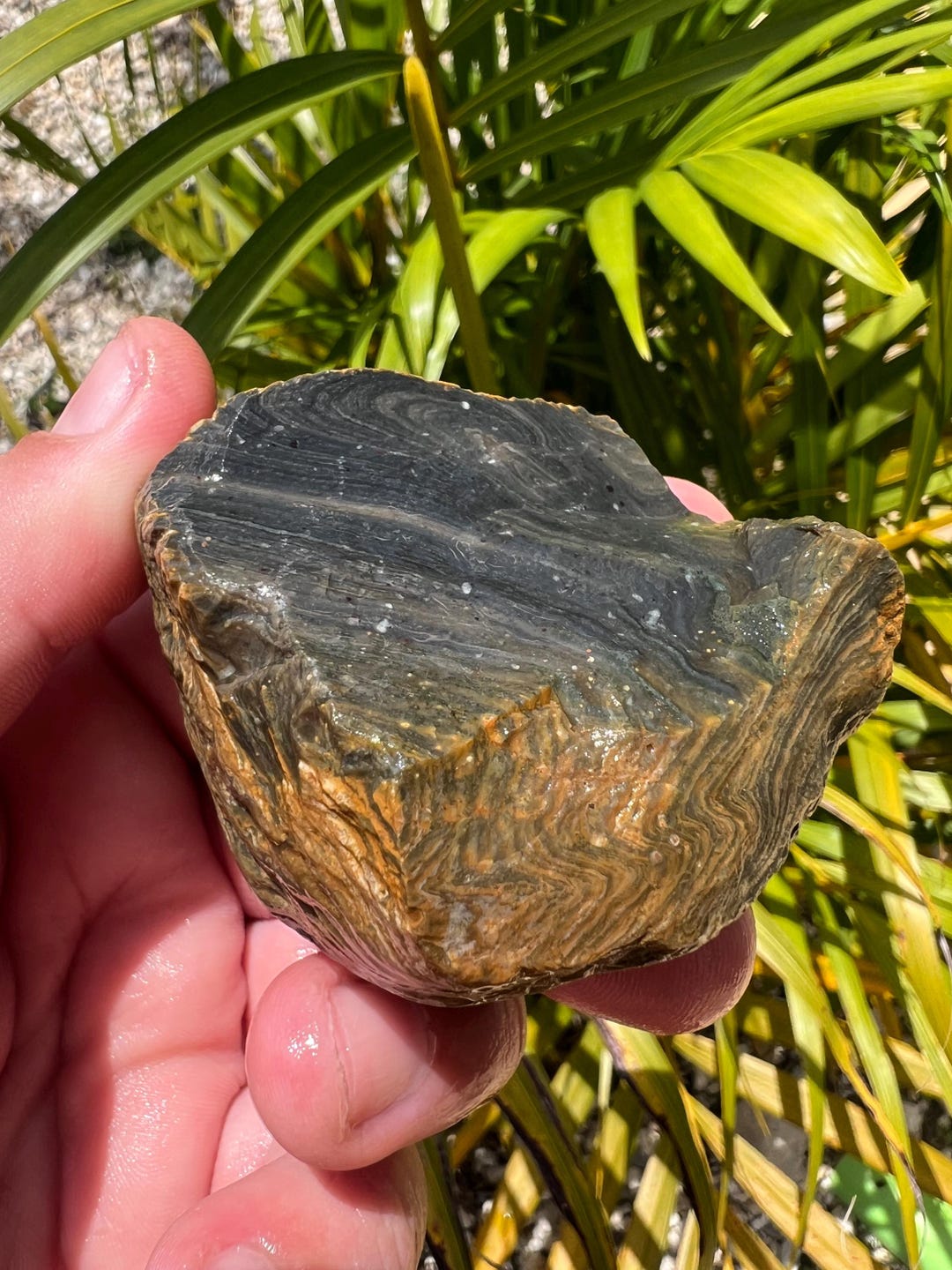 Australian Rough Waterline Black Chert 160 Grams Natural Raw Specimen ...