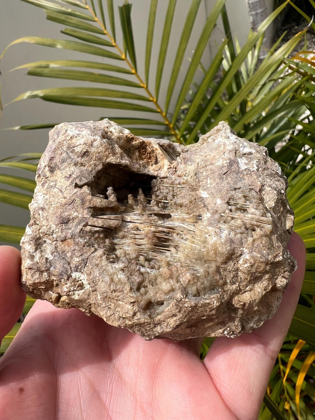 Australian Rough Thunderegg Sheet Quartz Chalcedony Botryoidal Druzy ...