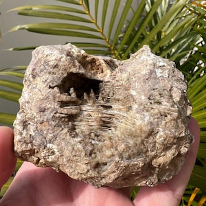 Australian Rough Thunderegg Sheet Quartz Chalcedony Botryoidal Druzy ...