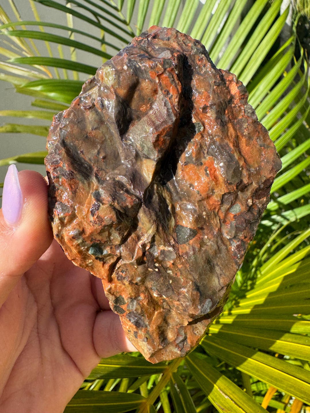 Australian Rough Breccia Rhyolite Chunk 450 Grams Chalcedony Natural ...