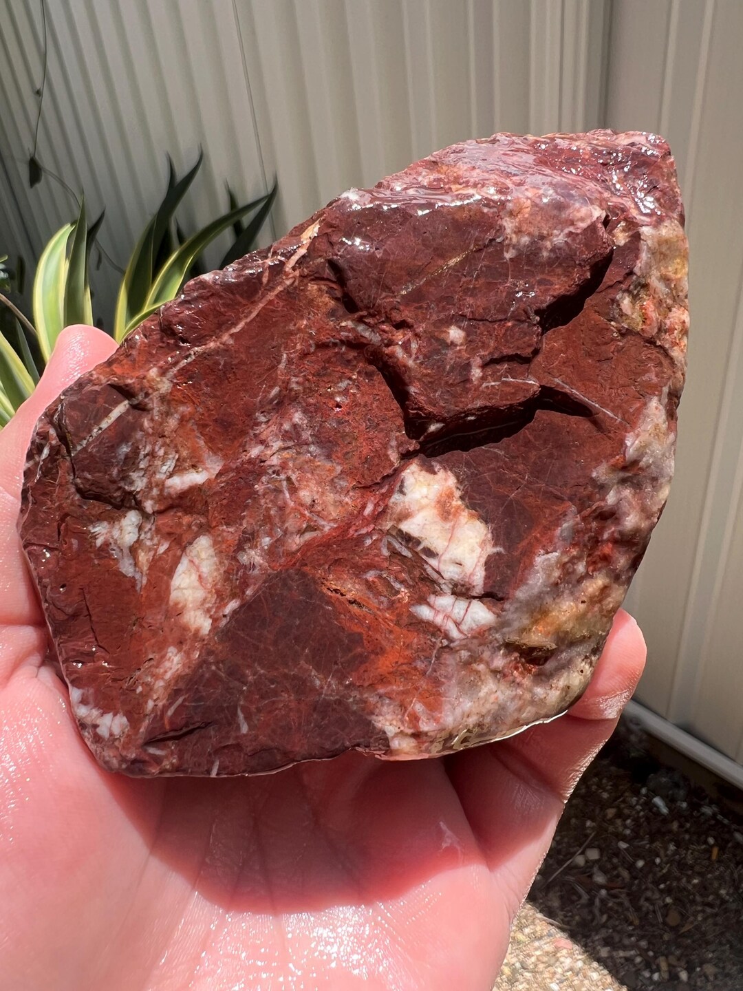 Australian Rough Brecciated Jasper Chalcedony Boulder 498grams Natural ...