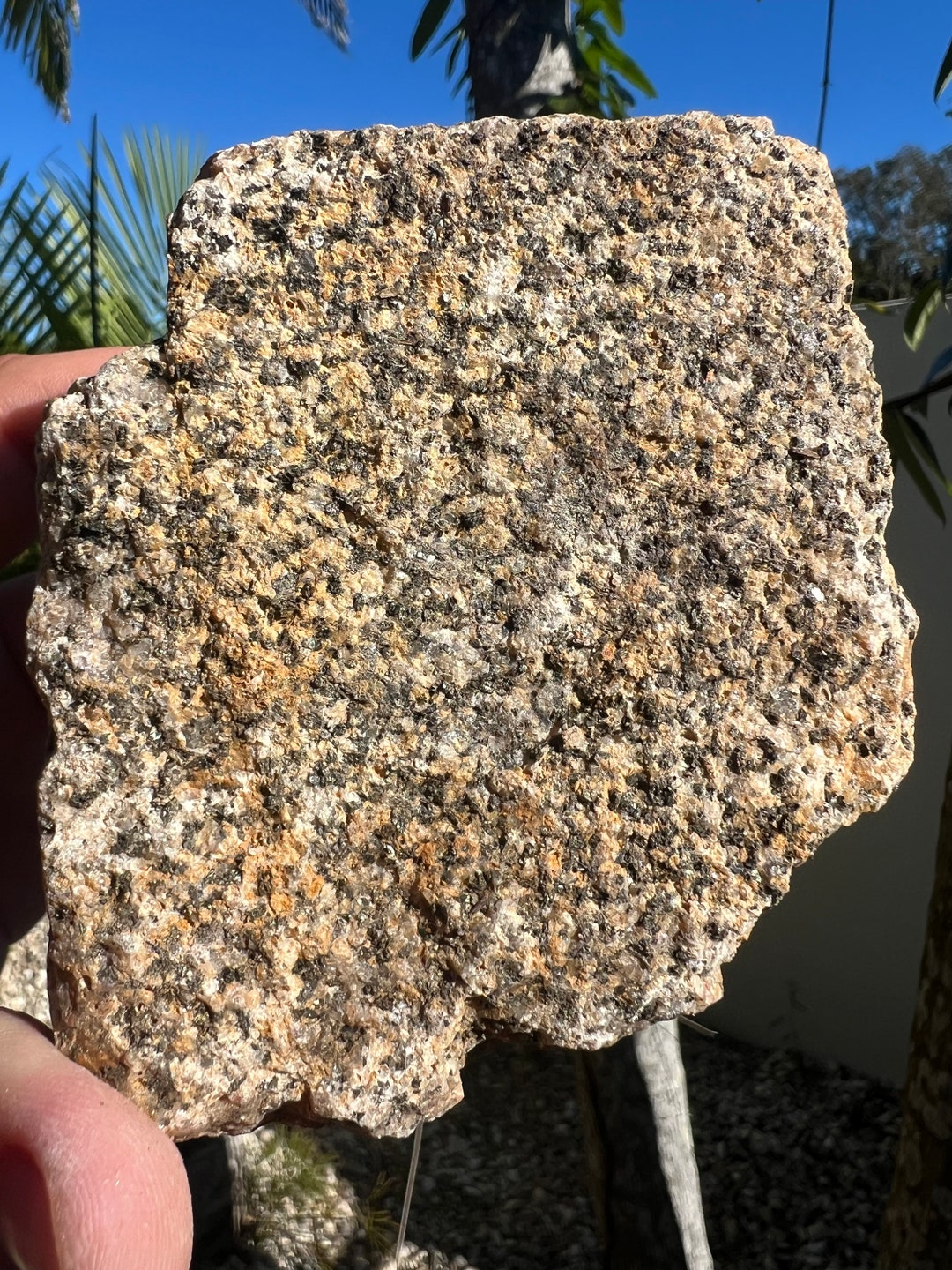 Australian Rough Bizzare Pegmatite Granite Hornblende Biotite Feldspar ...