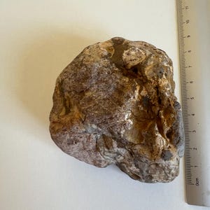Australian Rough Rhyolite Chunk 240 Grams Natural Raw Specimen ...