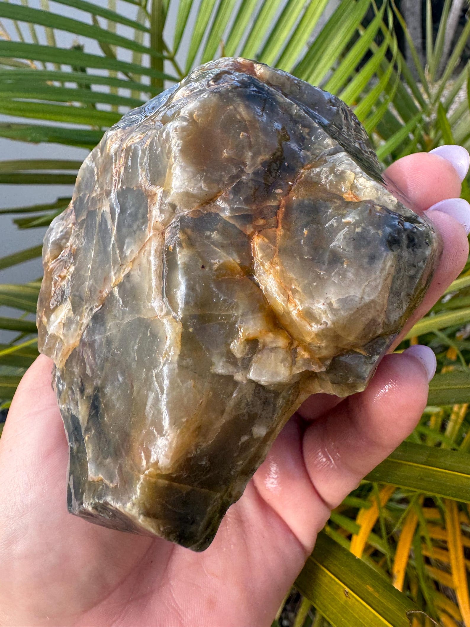 Australian Rough Smokey Translucent Chalcedony Jasper Chunk 734 Grams ...