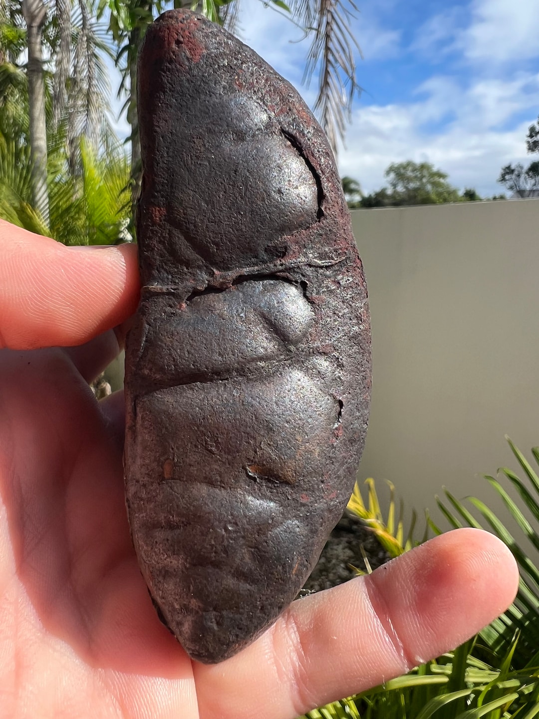 Australian Rough Red Iron Ore Hematite Fossil 610 Gram Specimen Red ...