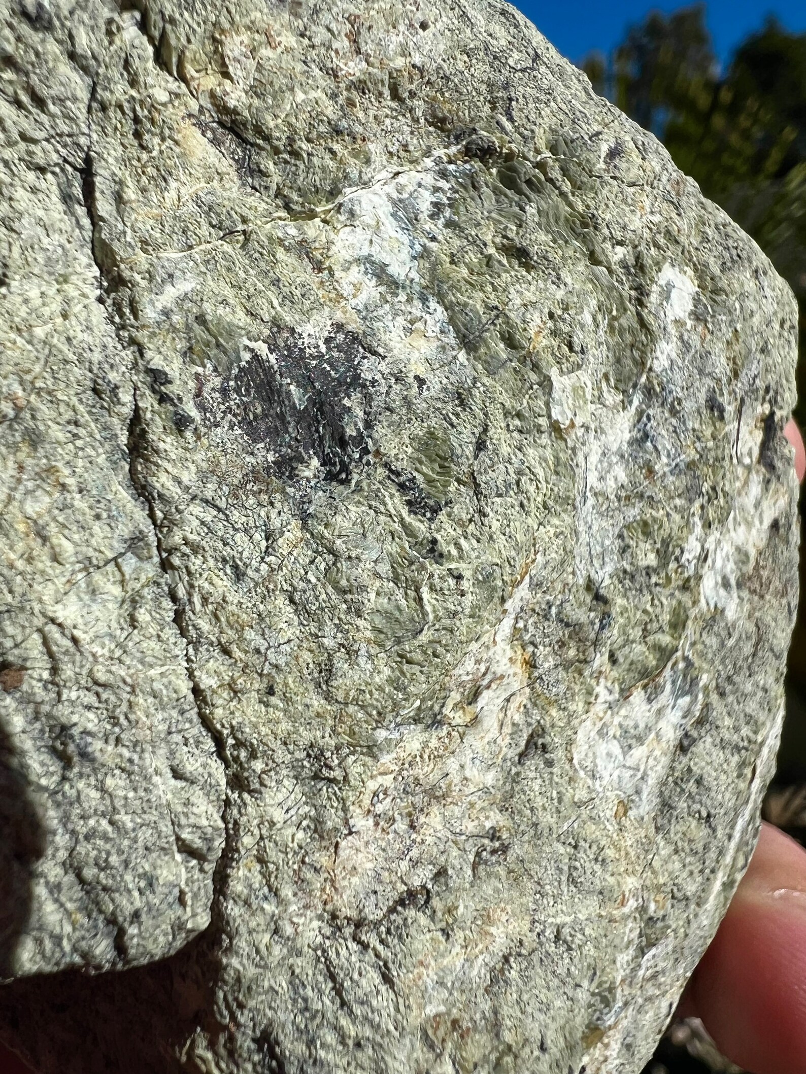 Australian Rough Serpentine Serpentinite Chunk 540 Grams Natural Raw ...