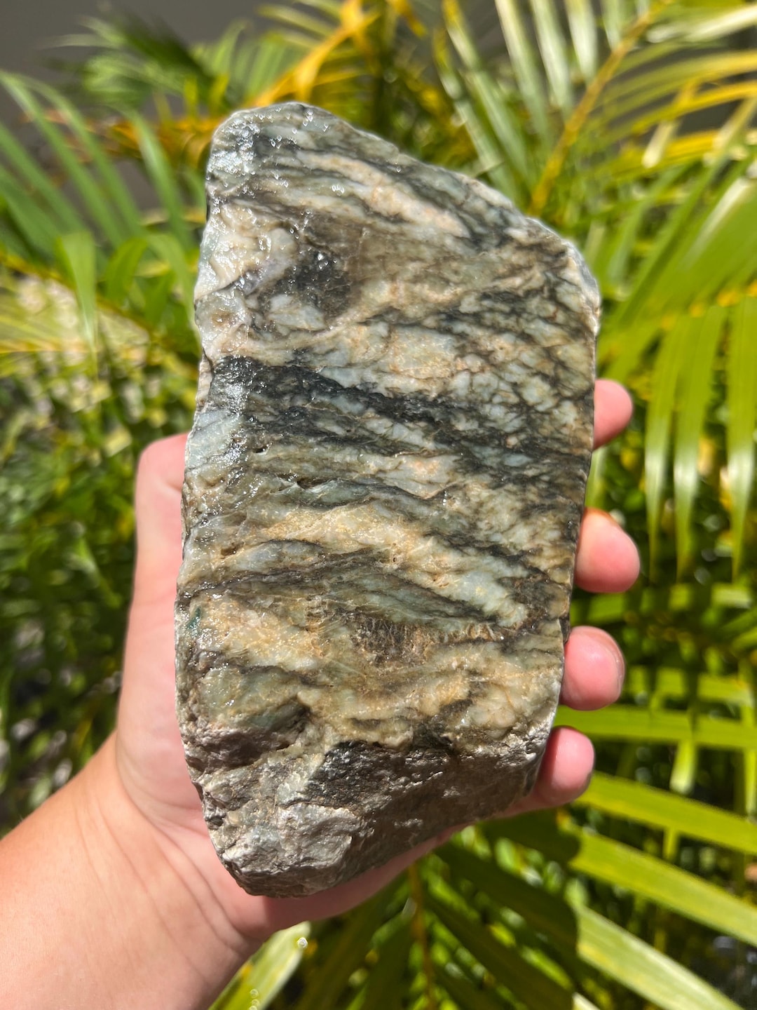 Australian Rough Gemmy Chalcedony Chert 1530 Grams Natural Raw Specimen ...