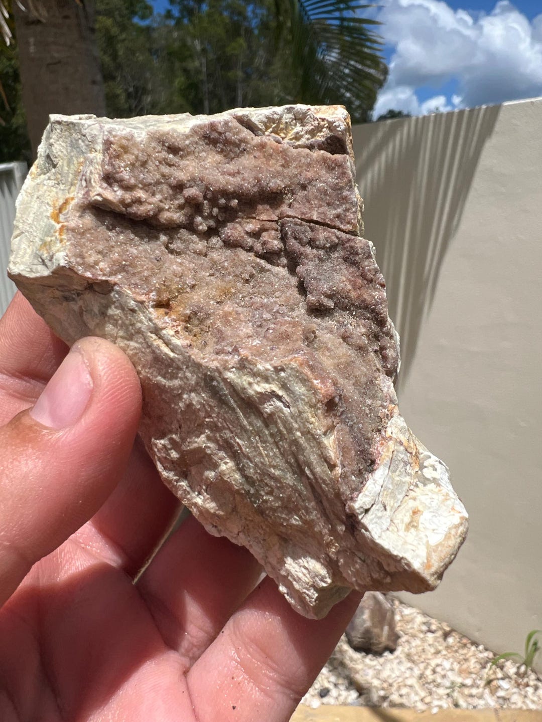 Australian Rough Thunderegg Botryoidal Amethyst Druzy Boulder Chunk 214 ...