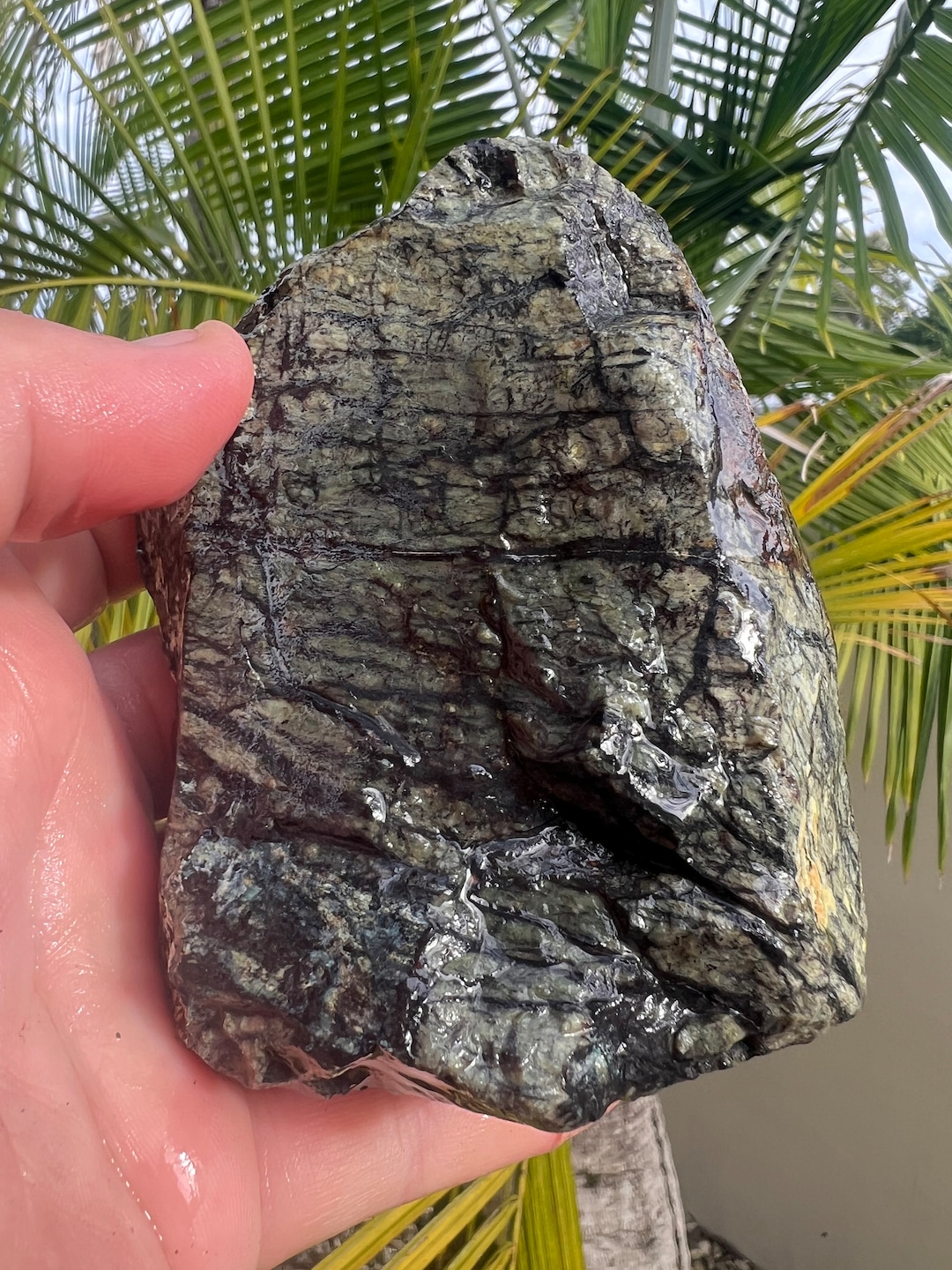 Australian Rough Serpentine Serpentinite Chunk 800 Grams Natural Raw ...
