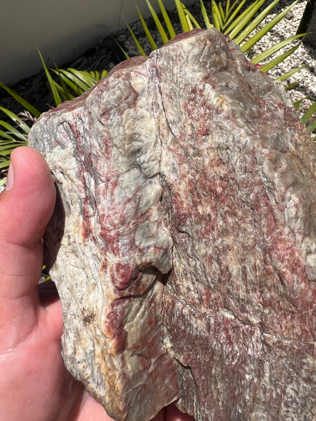 Australian Rough Silicified Oil Shale 1824 Grams Natural Raw Specimen ...