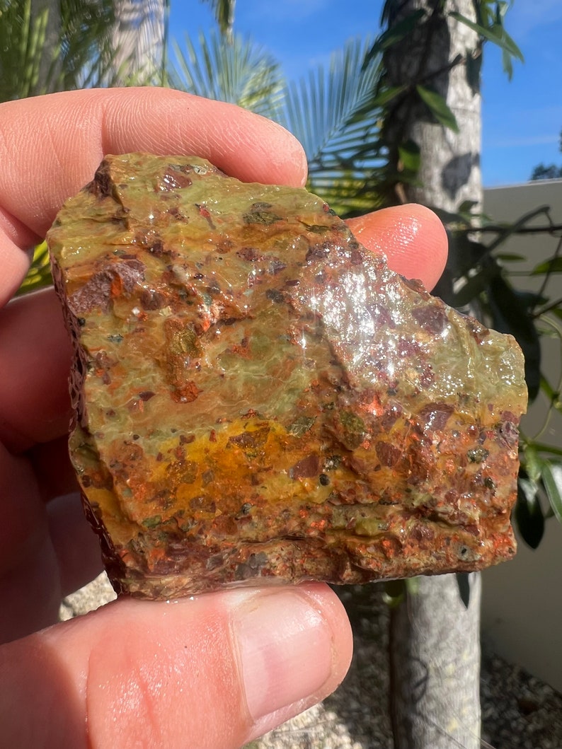 Australian Rough Breccia Rhyolite Chunk 130 Grams Natural Raw Specimen ...