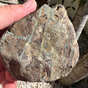 Australian Rough Rainforest Rhyolite Chunk 320 Grams Natural Raw ...