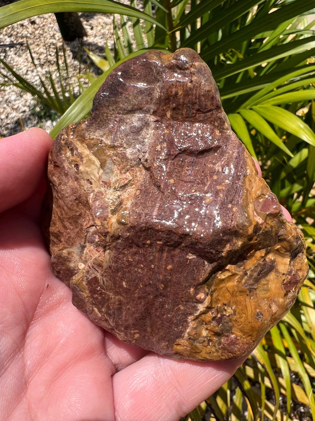 Australian Rough Rhyolite Chunk 240 Grams Natural Raw Specimen ...