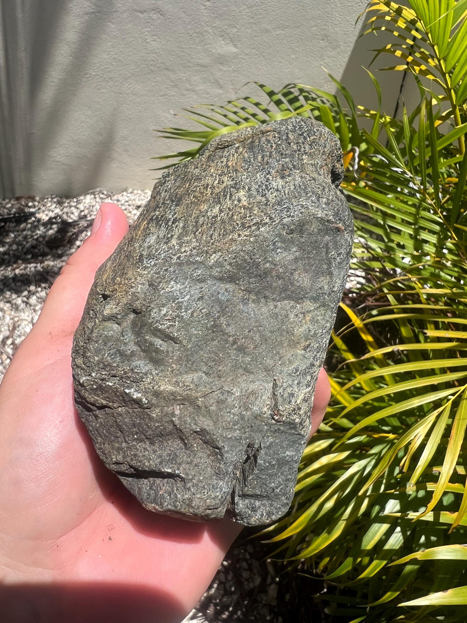 Australian Rough Sparkling Mica Schist 1960 Grams High Quality Natural ...