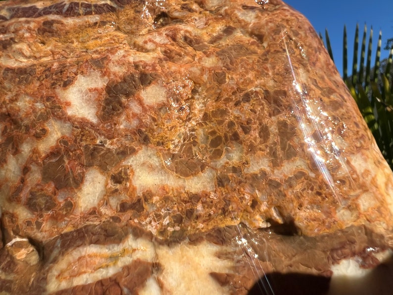 Australian Rough Brecciated Jasper Chalcedony Chunk 1360 Grams Natural ...