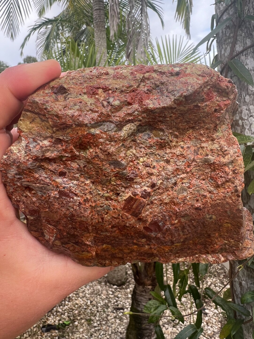 Australian Rough Breccia Rhyolite Chunk 1210 Grams With Dendrite ...