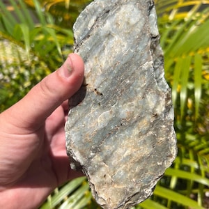 Australian Rough Gemmy Chalcedony Chert 1530 Grams Natural Raw Specimen ...