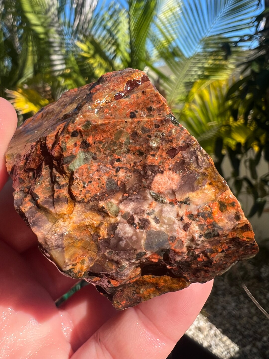 Australian Rough Breccia Rhyolite Chunk 236 Grams Natural Raw Specimen ...