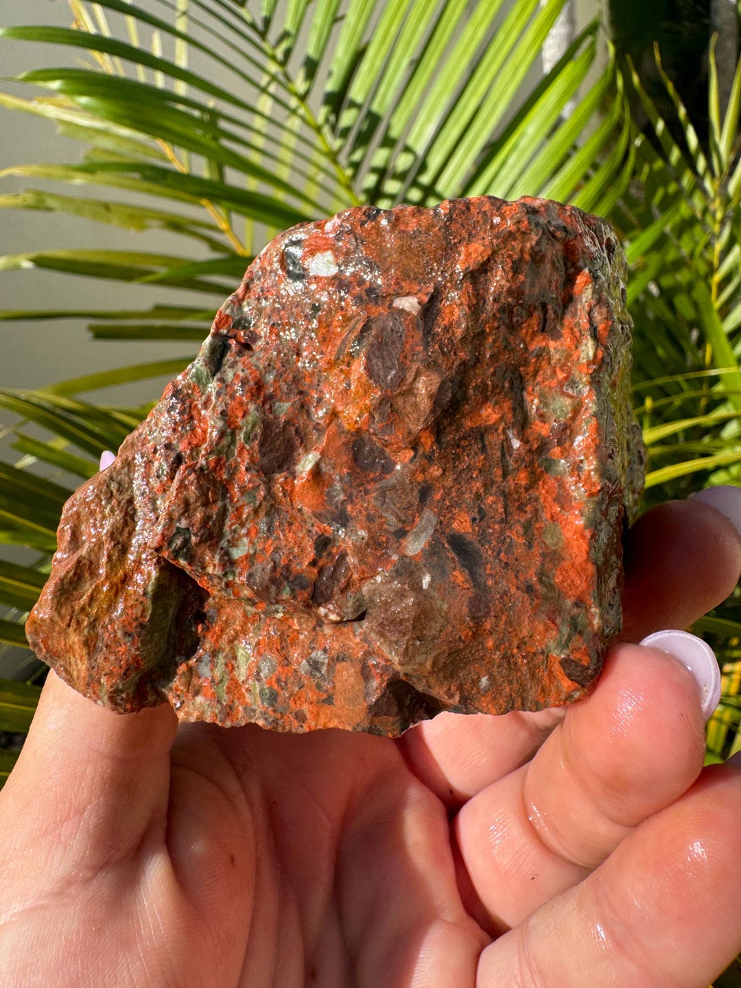 Australian Rough Breccia Rhyolite Chunk 590 Grams Chalcedony Natural ...