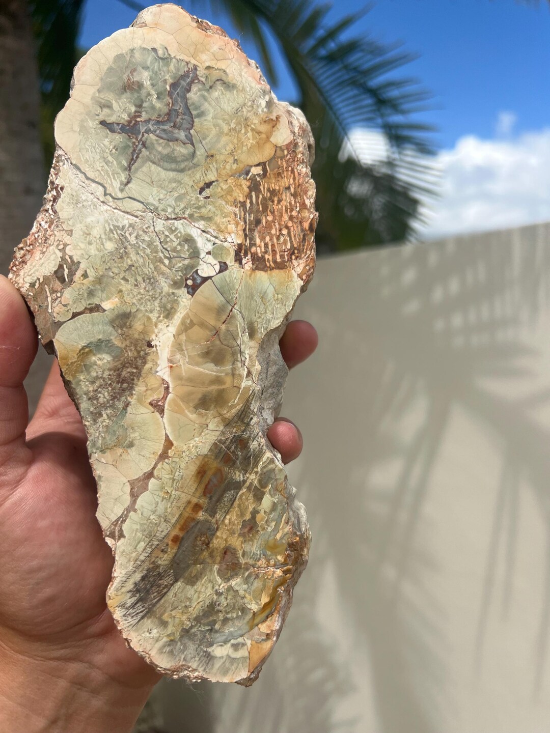 Australian Rough Polished Thunderegg Rhyolite Chunk Specimen 1230 Grams ...