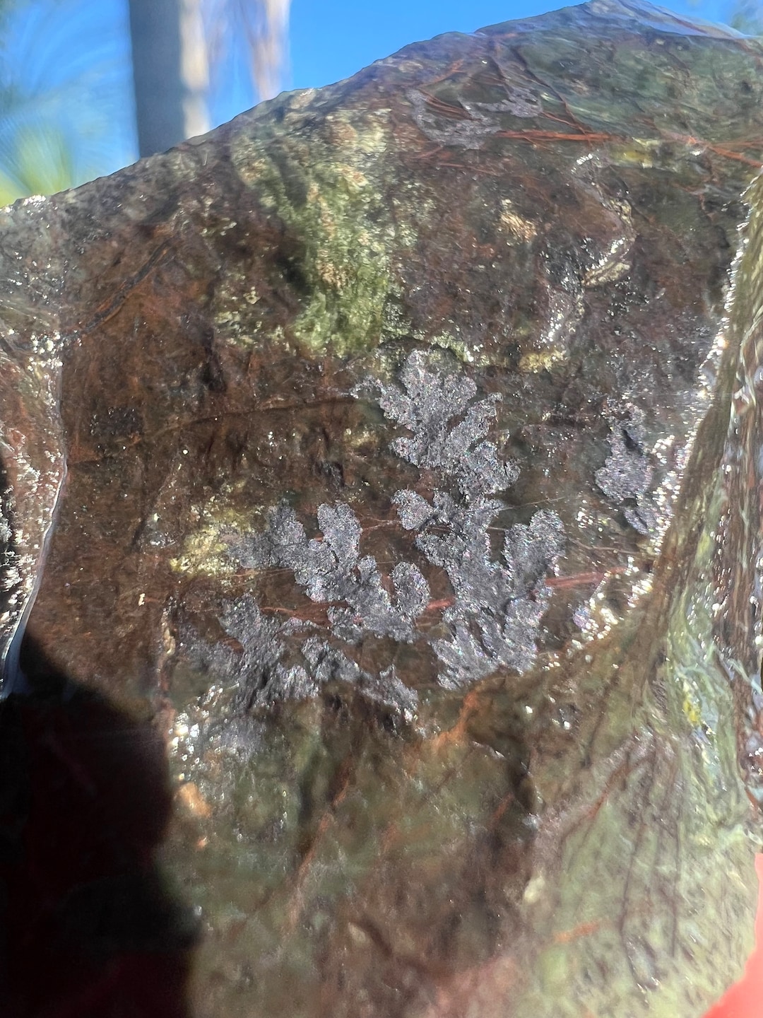 Australian Rough Magnetite Iron Dendrite on Silicified Serpentinite ...