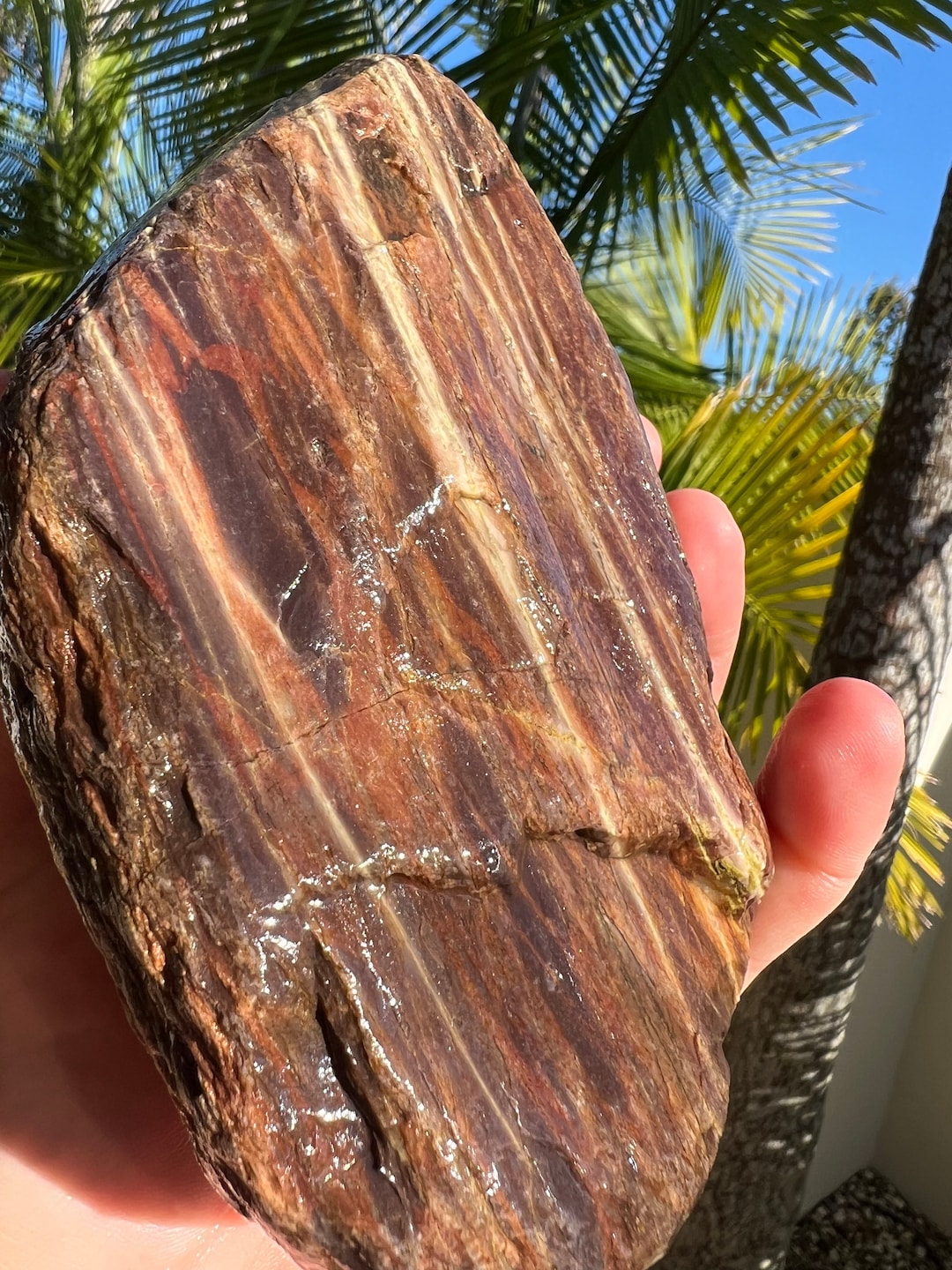 Australian Rough Waterlined Banded Chalcedony Jasper Chert 1940 Grams ...