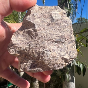 Australian Rough Rhyolite Chunk 310 Grams Natural Raw Specimen ...
