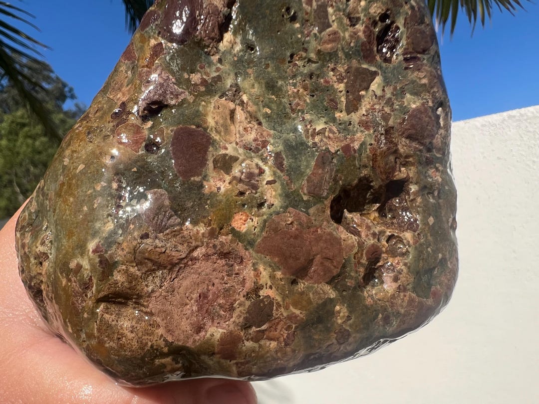 Australian Rough Breccia Rhyolite Chunk 700 Grams Natural Raw Specimen ...