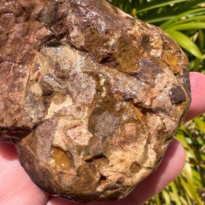 Australian Rough Rhyolite Chunk 240 Grams Natural Raw Specimen ...