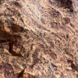 Australian Rough Rhyolite Chunk 310 Grams Natural Raw Specimen ...