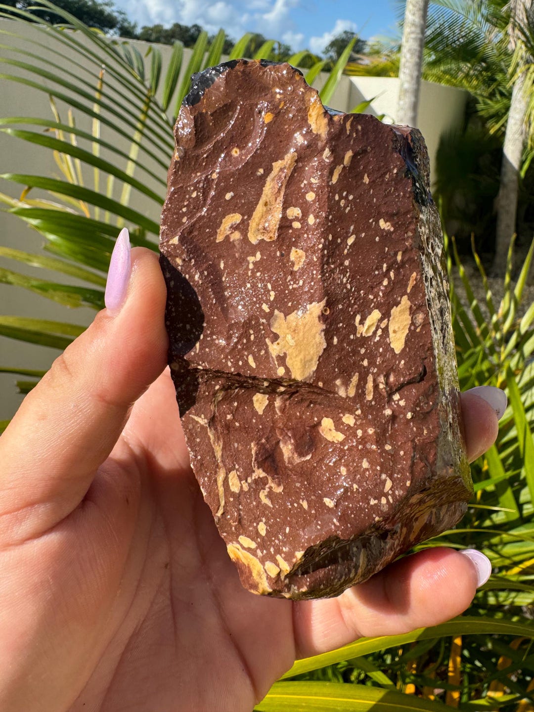 Australian Rough Breccia Rhyolite Chunk 603 Grams Chalcedony Natural ...