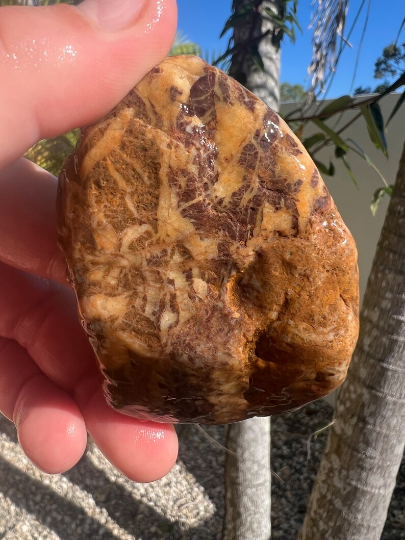 Australian Rough Brecciated Jasper Chunk 164 Grams Natural Raw Specimen ...