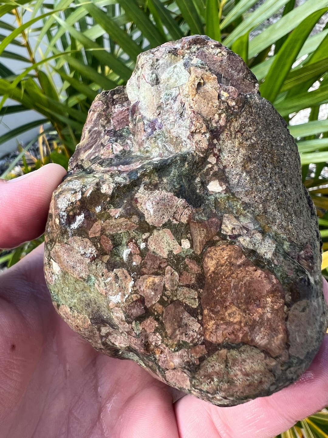 Australian Rough Rhyolite Breccia Chunk 580 Grams Natural Raw Specimen ...