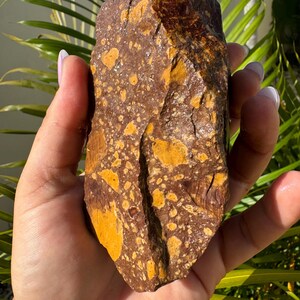 Australian Rough Breccia Rhyolite Chunk 603 Grams Chalcedony Natural ...