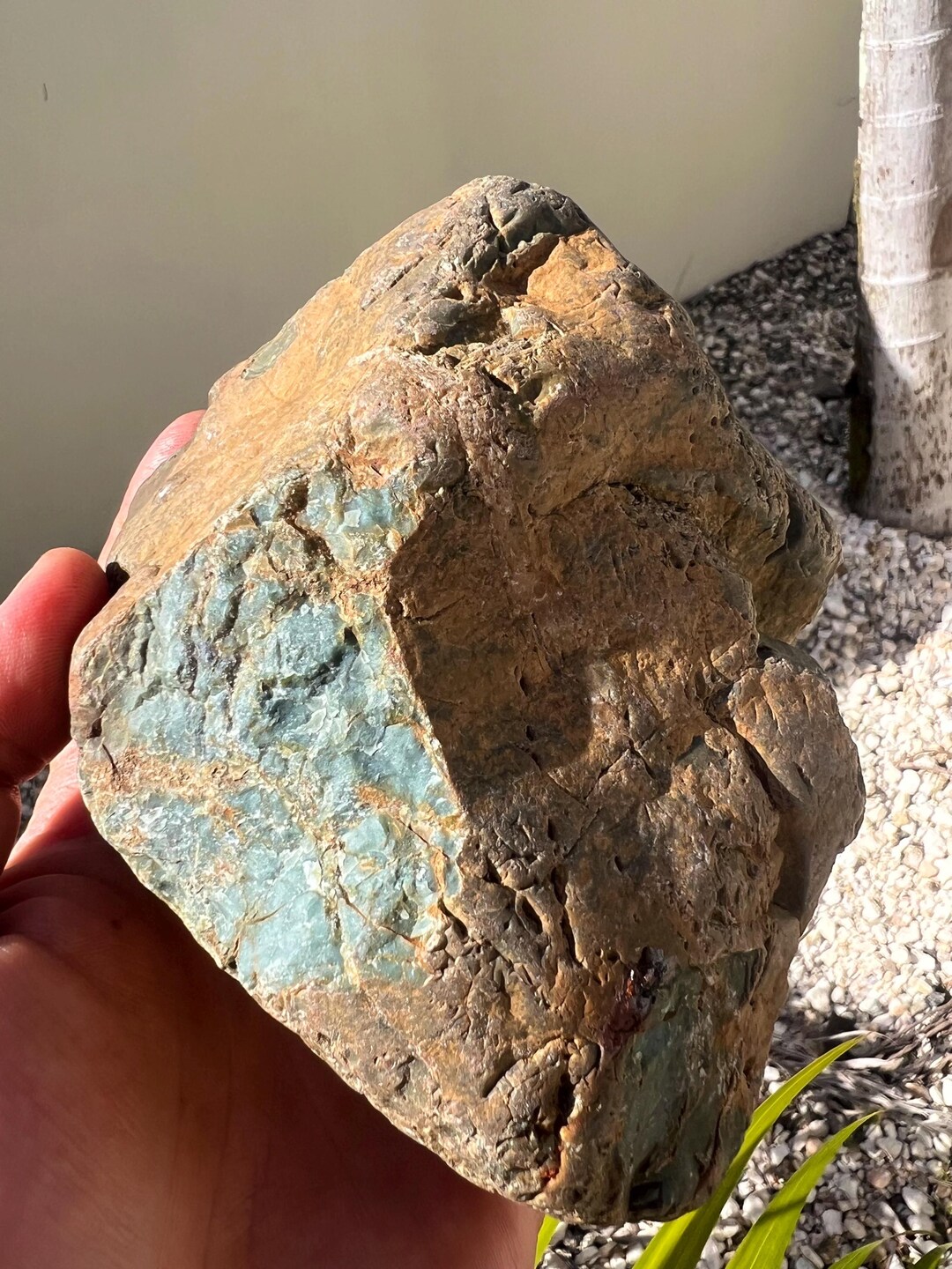 Australian Rough Blue Chalcedony Chert 1350 Grams High Quality Raw ...