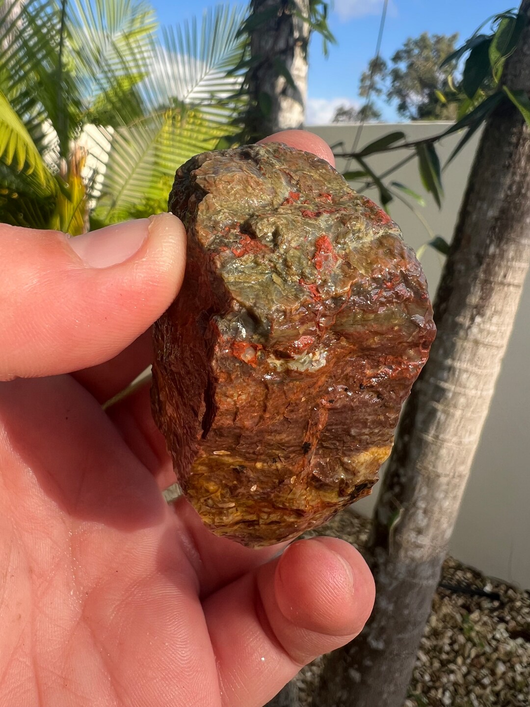 Australian Rough Breccia Rhyolite Chunk 120 Grams Natural Raw Specimen ...