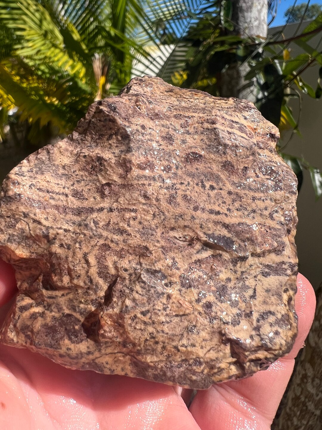 Australian Rough Rhyolite Chunk 310 Grams Natural Raw Specimen ...