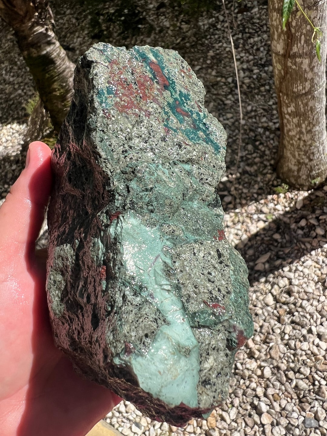 Australian Rough Chrysocolla 1220 Grams Natural Untreated Rocks ...