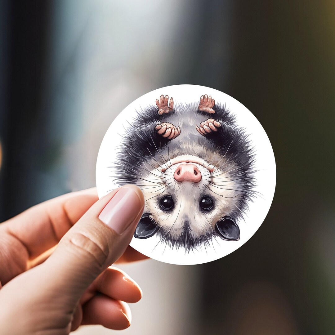 Playing Possum Sticker, Opossum Sticker, Playing Dead Sticker, Bad Day ...