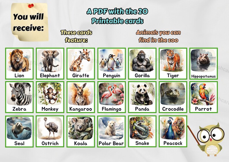 ZOO ANIMALS Printable FLASHCARDS. 20 Montessori Cards for Nomenclature ...