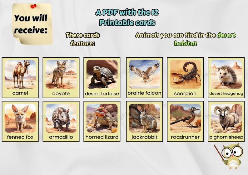 PRINTABLE FLASHCARDS Desert ANIMALS. 12 Montessori Nomenclature Cards ...