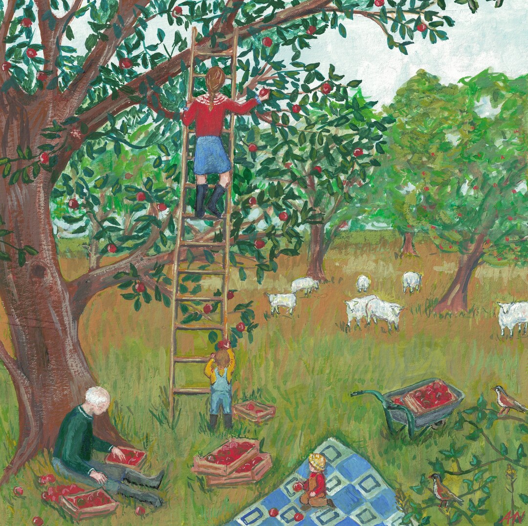 Apple Picking - Greeting Card - Folded Card - Etsy