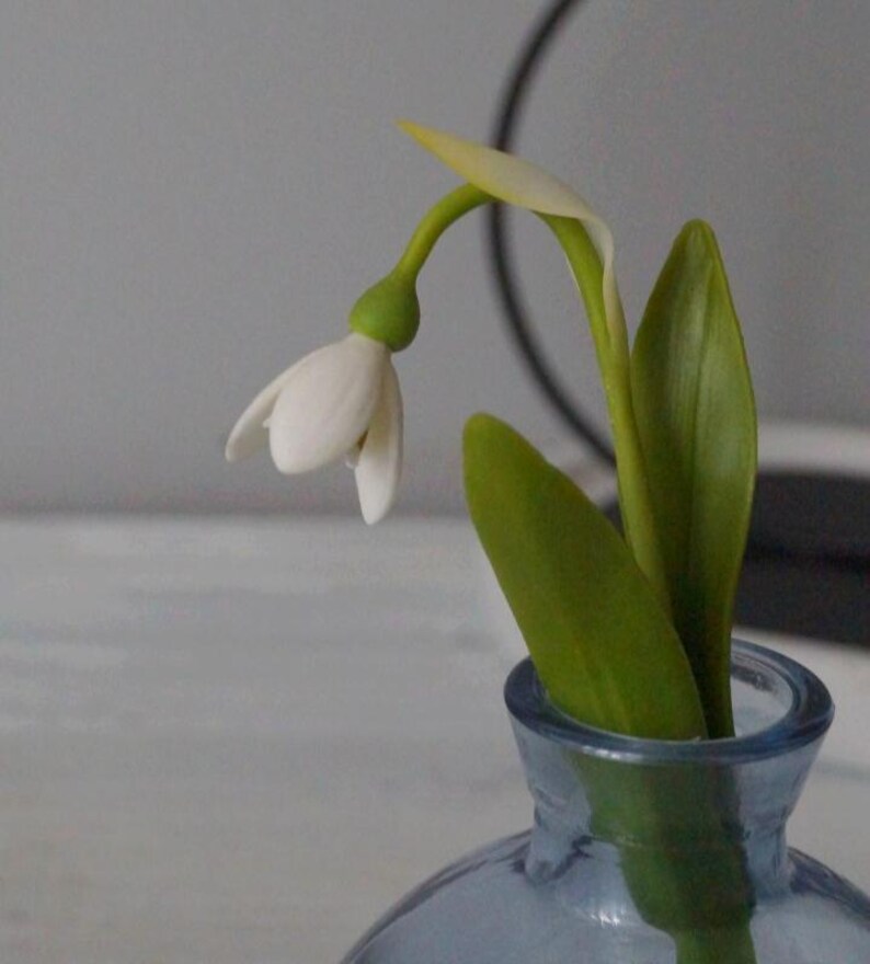 Snowdrop, Cold Porcelain Flower, Botanical Sculpture Snowdrops for Gift ...