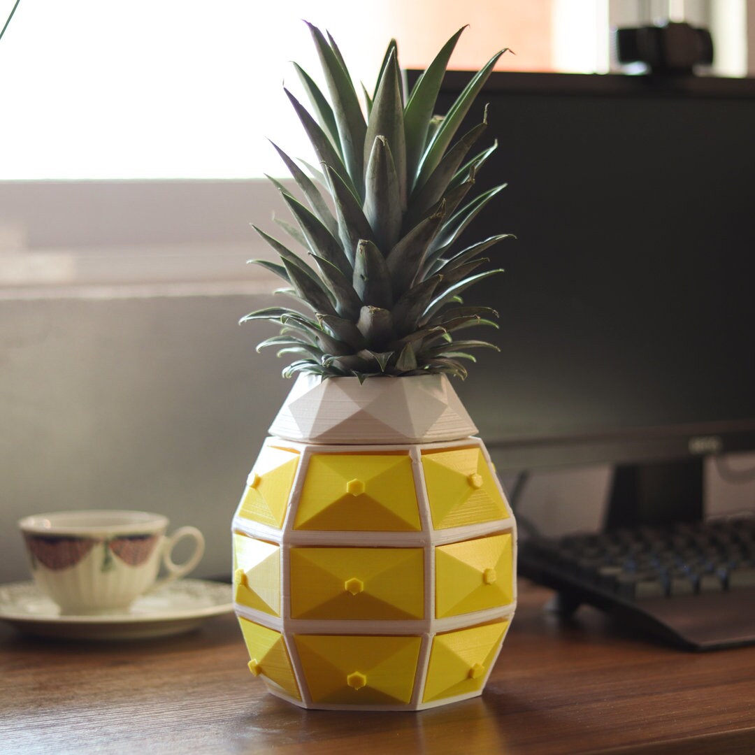The Magic Pineapple Flower Pot STL 3D Printing File - Etsy
