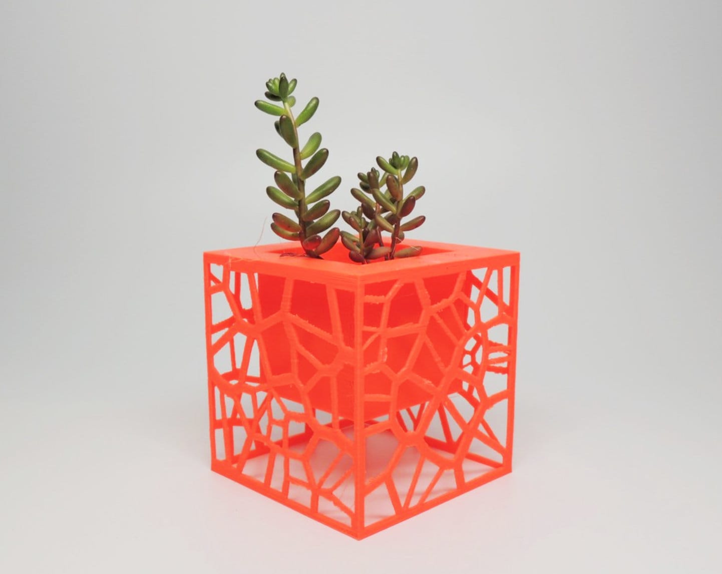 Voronoi Planter STL, 3D Flower Vase Stl With 3D Print, 3D Printing ...