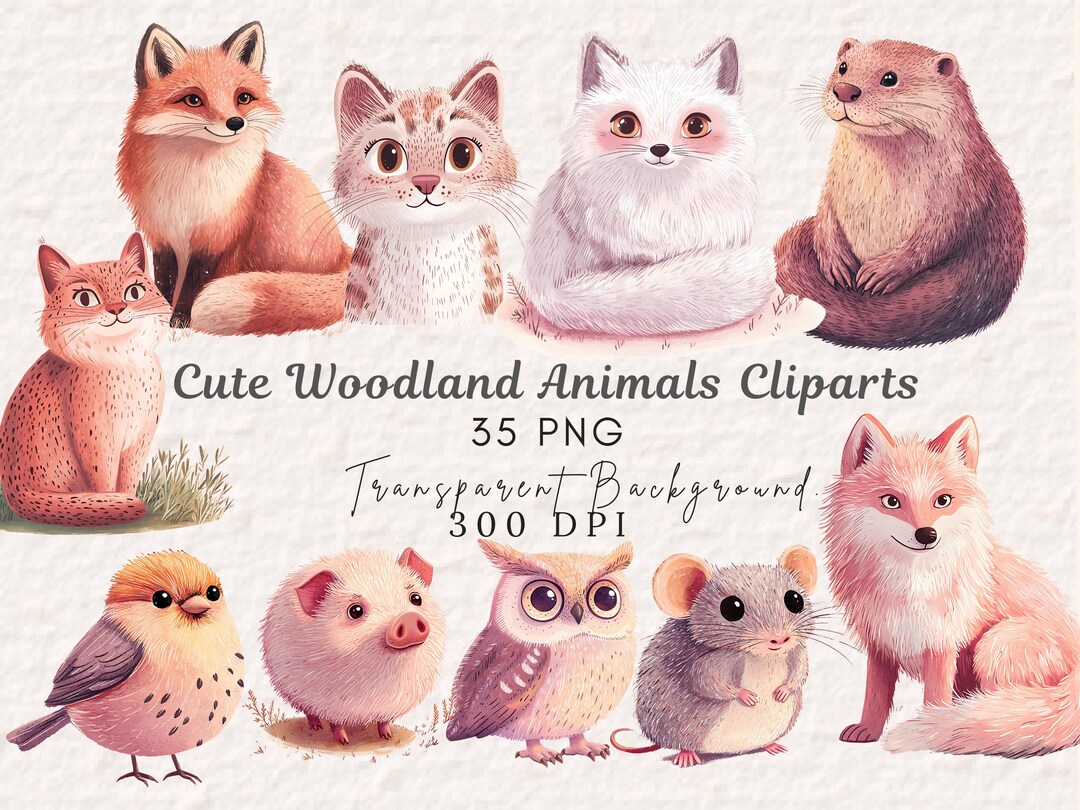 Cute Woodland Clipart Bundle PNG Watercolor Safari Animals ...
