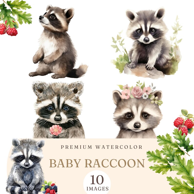 Cute Watercolor Raccoon Clipart - Forest Animal Clip Art - Funny Baby ...