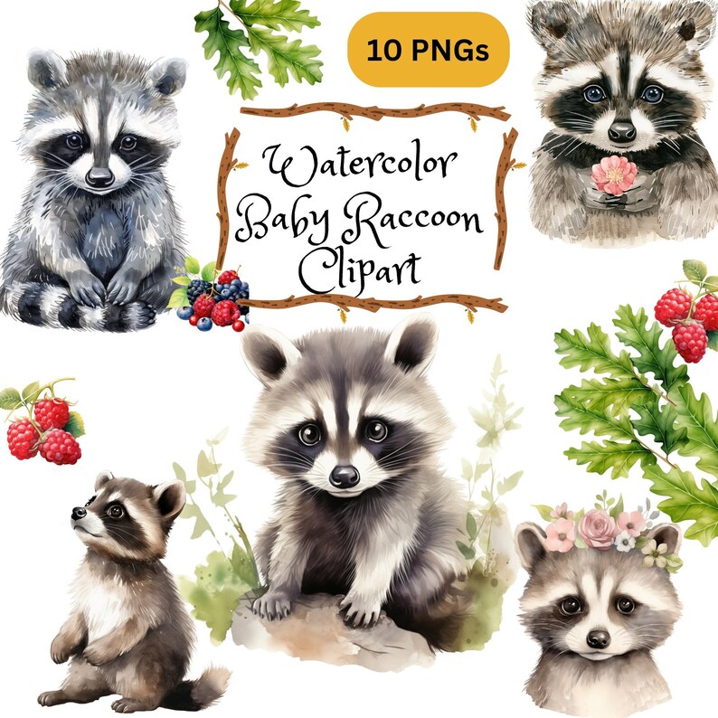 Cute Watercolor Raccoon Clipart - Forest Animal Clip Art - Funny Baby ...